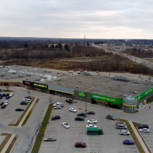 ELM Developments | Management